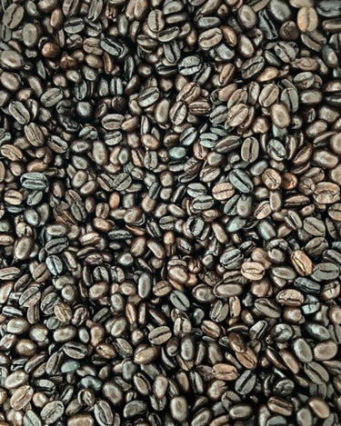 White Boxer Coffee Company